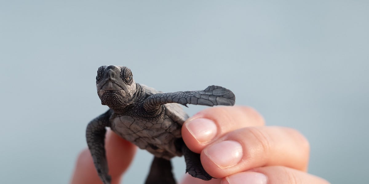 small parts - melanie’s substack