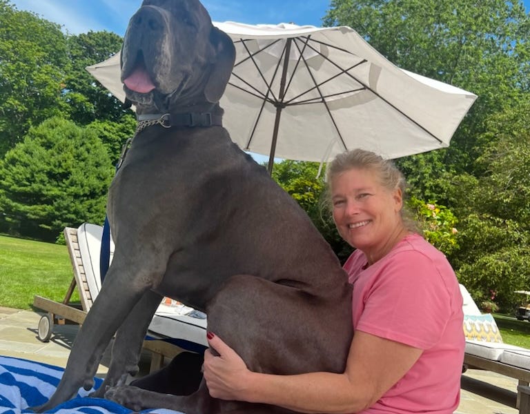 When too much is nothing - by Dorothy Palin