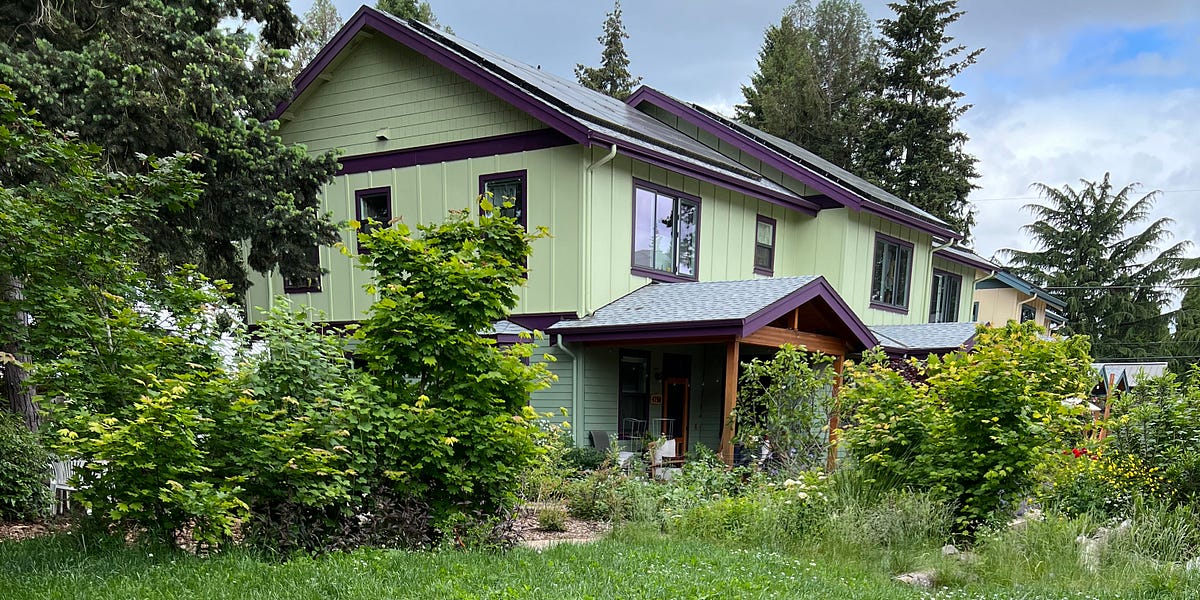 Finding Beauty in the Ick - by Hannah Franco-Isaacs