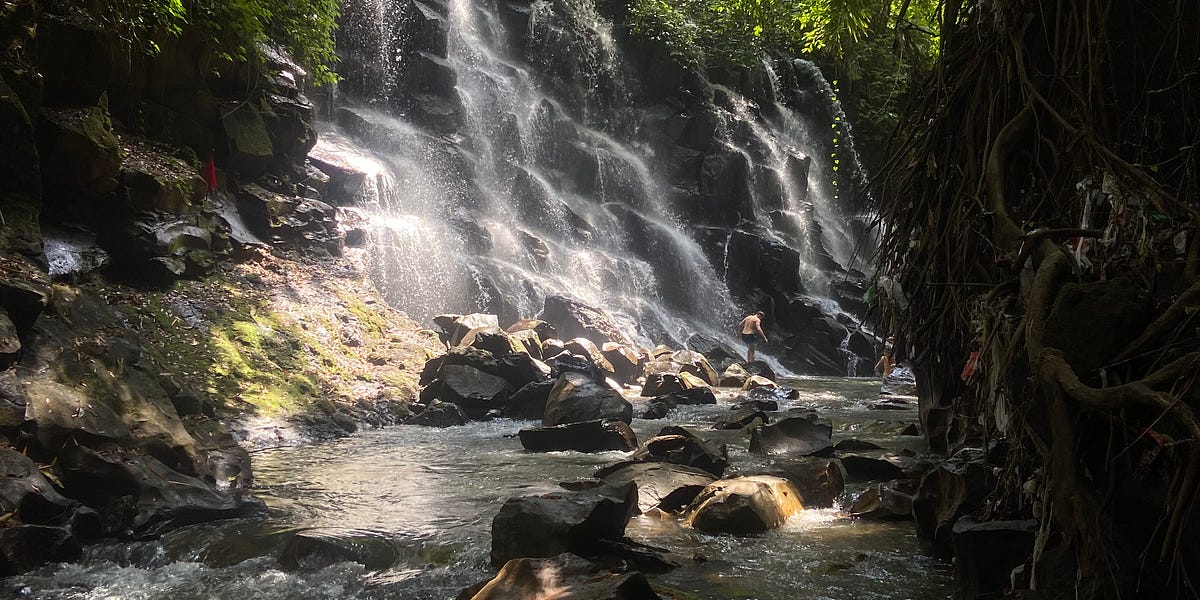 ¿Estoy fluyendo o forzando? - Dosis Marina Substack