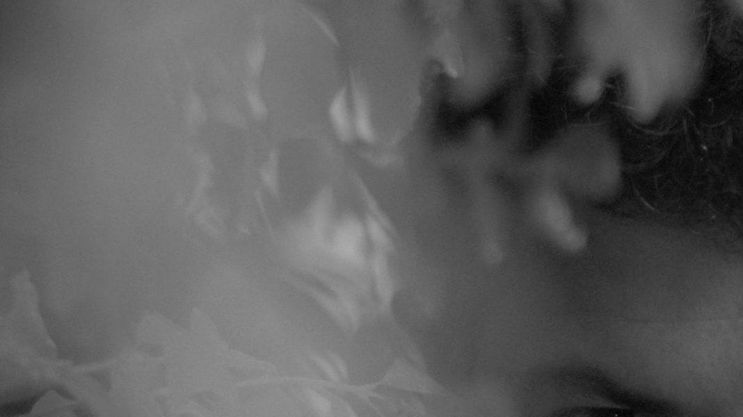 "Poemas Coligidos" no blog Farofafá - Rodrigo’s Substack