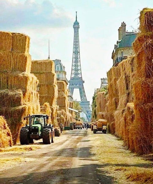 Paris 1789 Over Again? - by Dr. Rob Campbell - The Busker