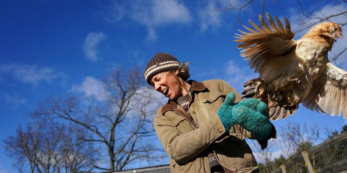 How to Keep Chickens in the City - by Larissa Phillips