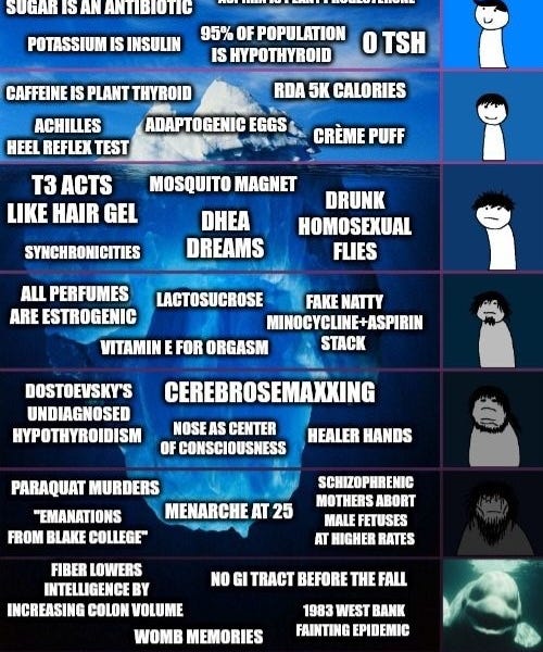 Peatard Iceberg Explained - T3Uncoupled’s Substack