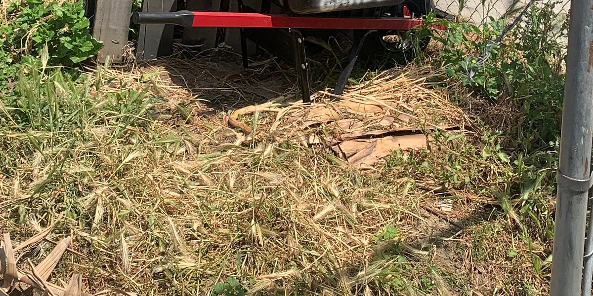 How to build a community compost hub - by cass marketos