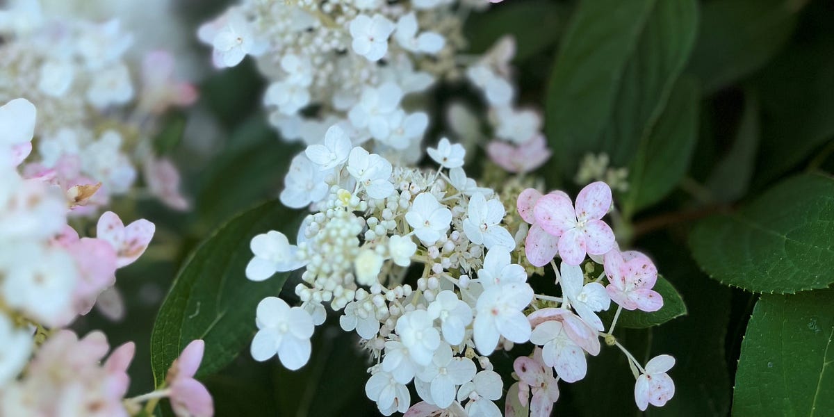 Making Space for Change - by Wendy Cichanski Caduff