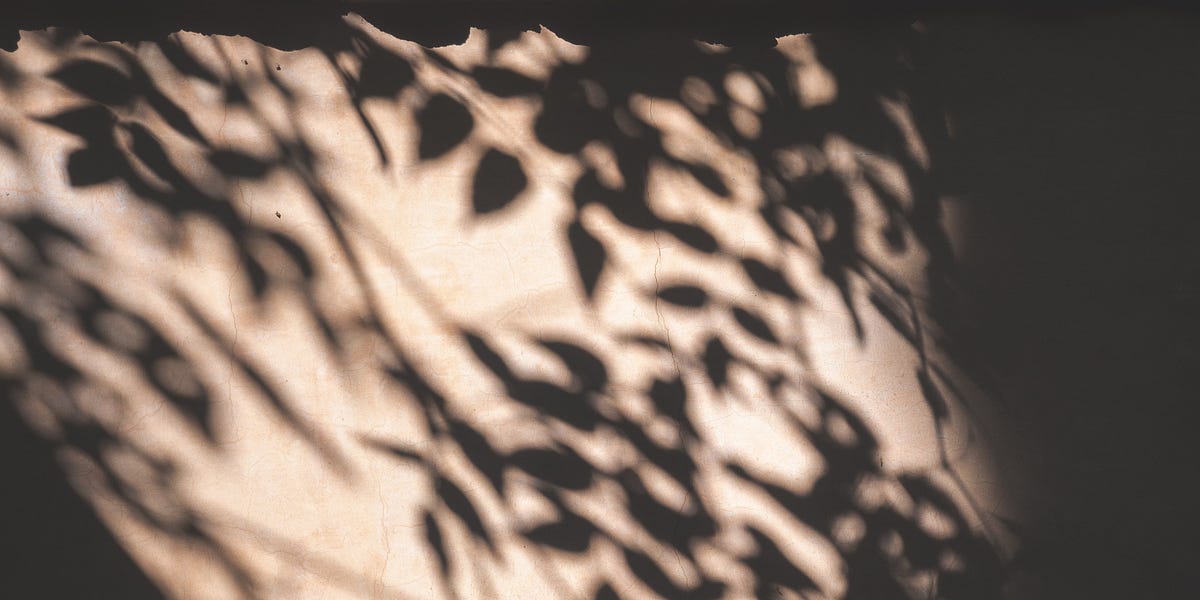 Waking up to our shadows - by Bethaney Wilkinson