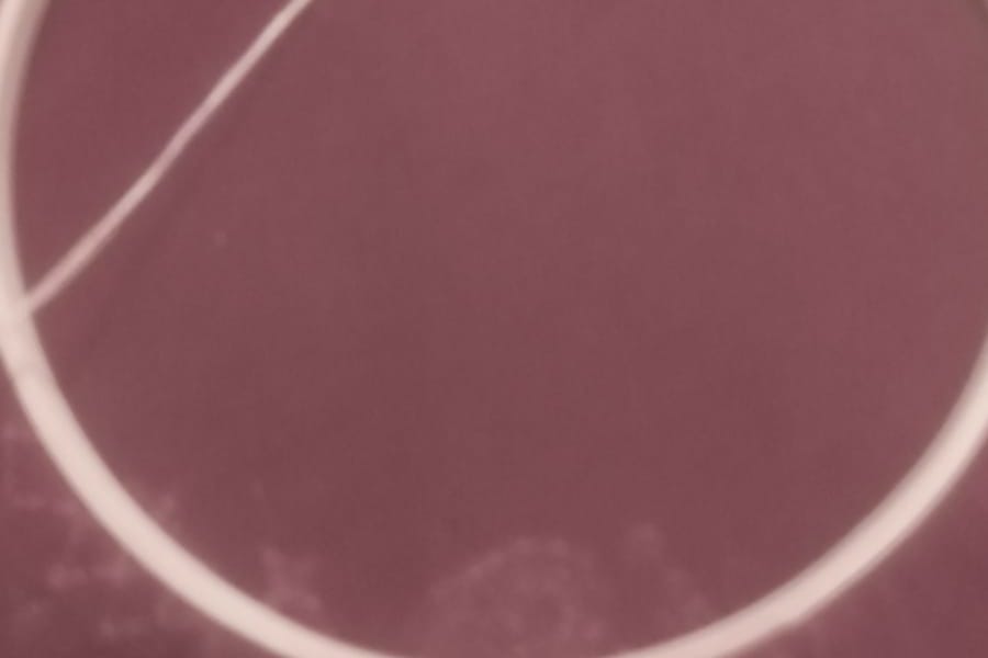 Bordar para dentro - Lise’s Substack