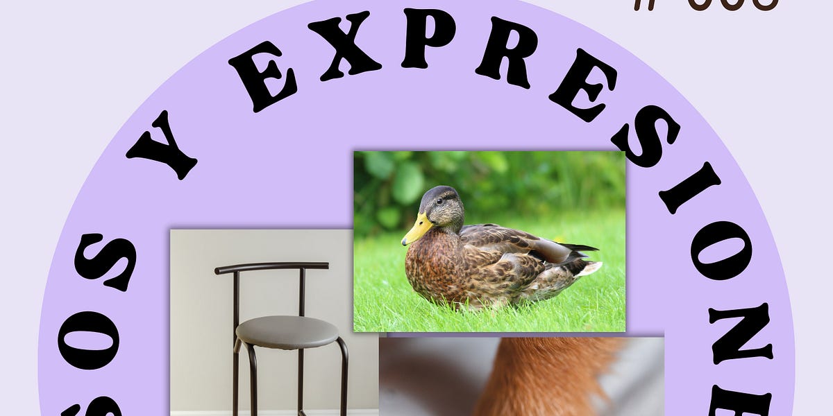 Uses and Expressions of the word "PATA" in Spanish. (#006)