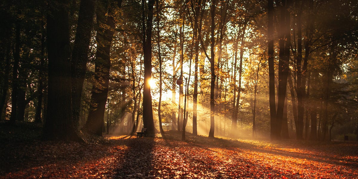 Enjoy the Weekend - Blind Spots, Reflection & Resources