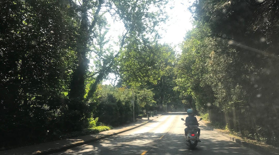 Of Sunny Days and Scooters - by Tara Austen Weaver - enJOY