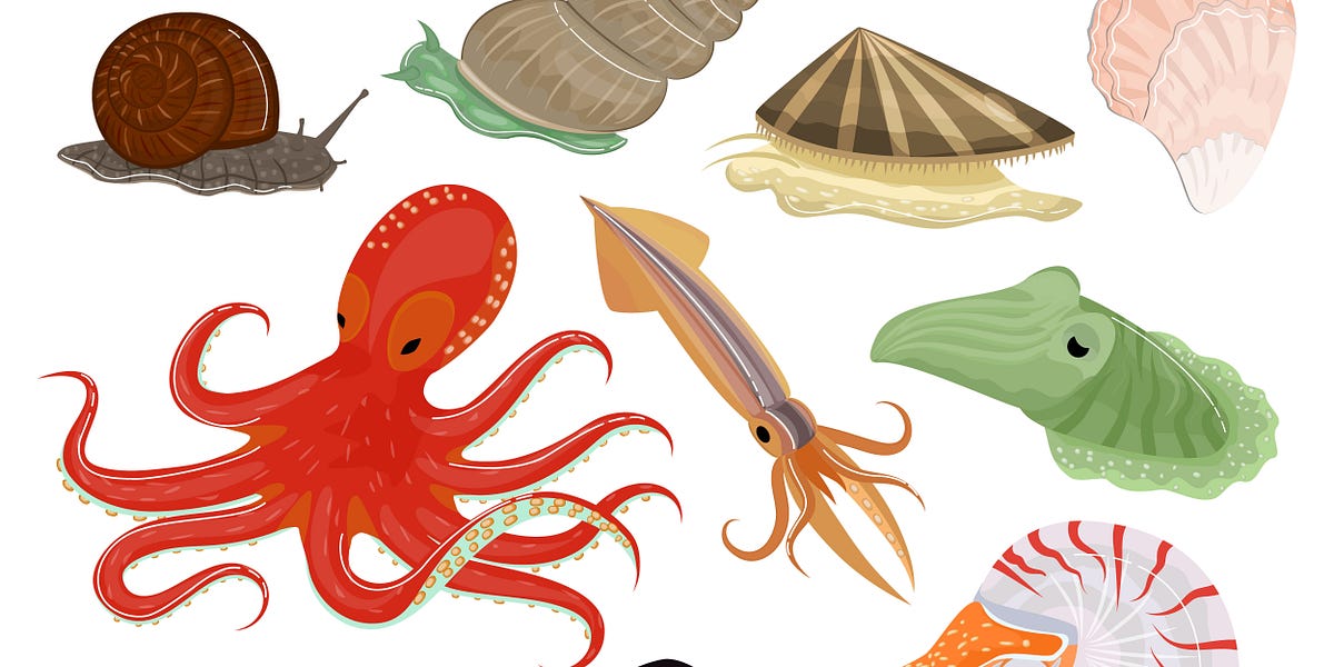 "Hopeful Monsters", Saltationism, and Other Useful Ideas in ...