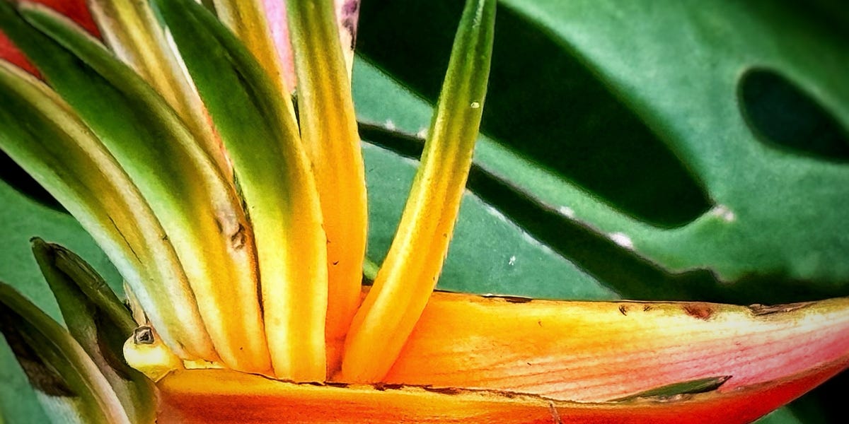 Seeing Simply - by Pegge Erkeneff