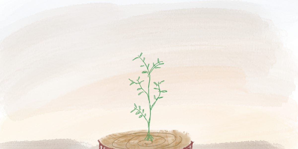 Trauma Patterns - by Tracey Fisher - Inspirit