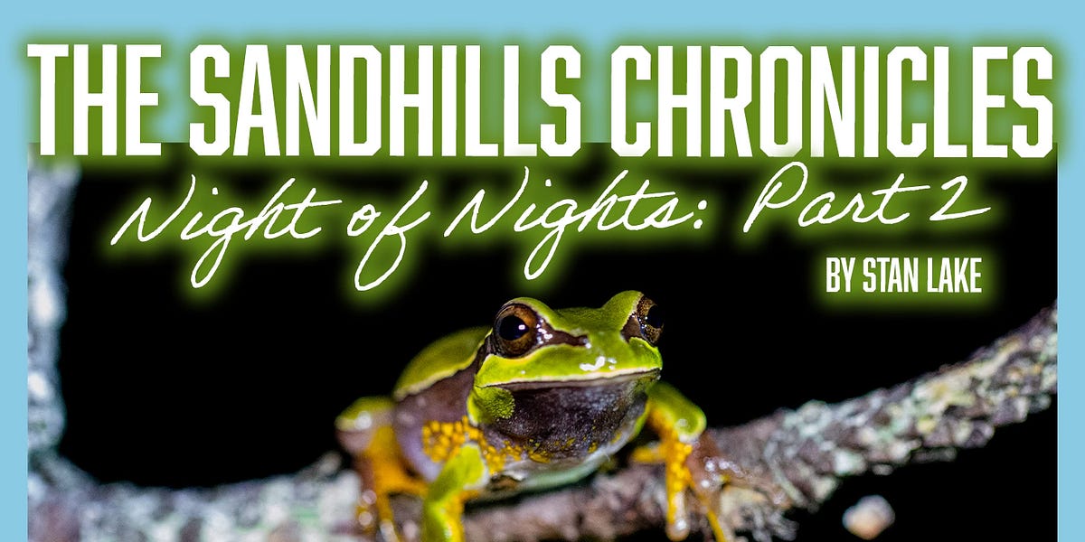 The Sandhills Chronicles - by Stan Lake