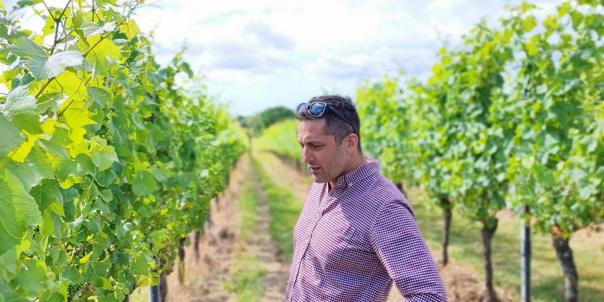 Moving The Edge - Viticulture in England - by Tom Hewson