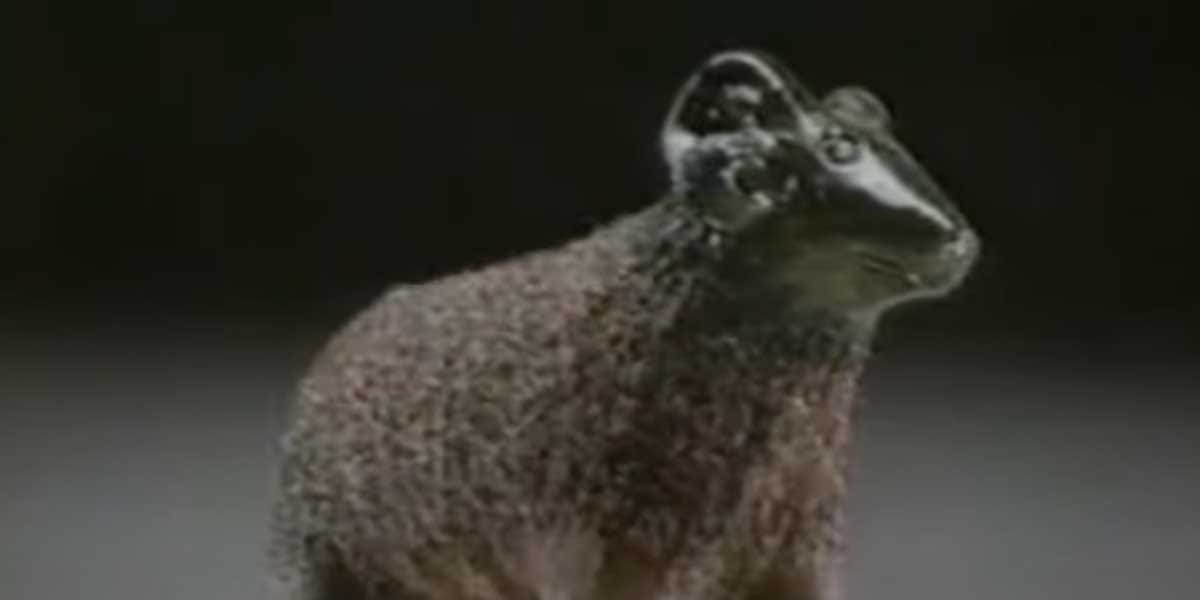 The Original Chia Pet Commercial? - The Retroist