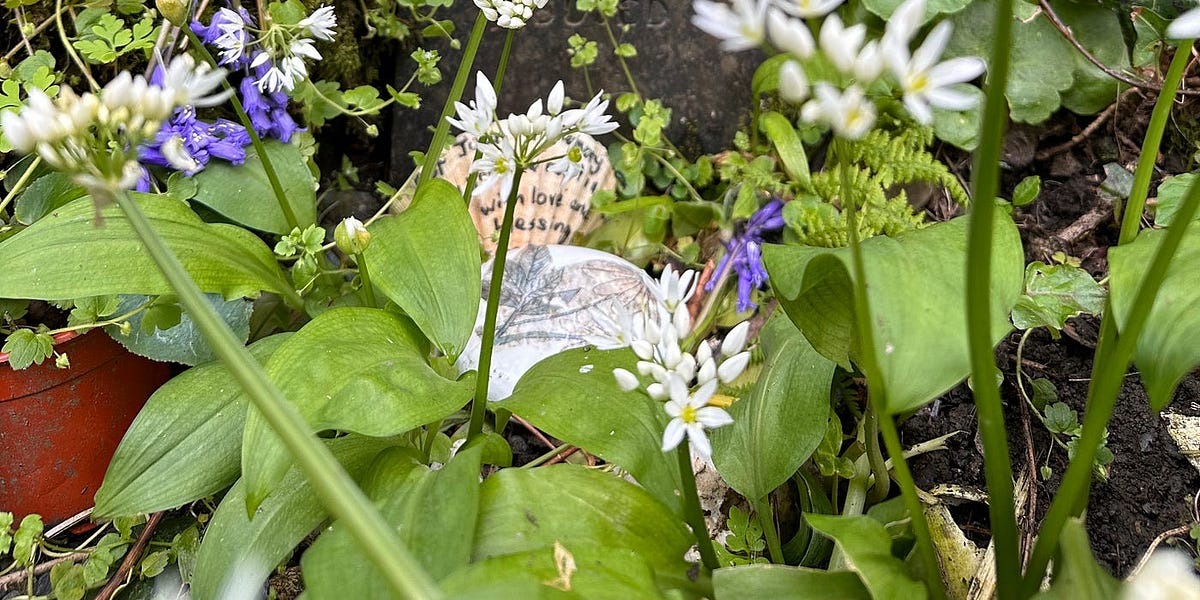 No Longer Abused - Leanne de Souza @rebelbuzz Substack