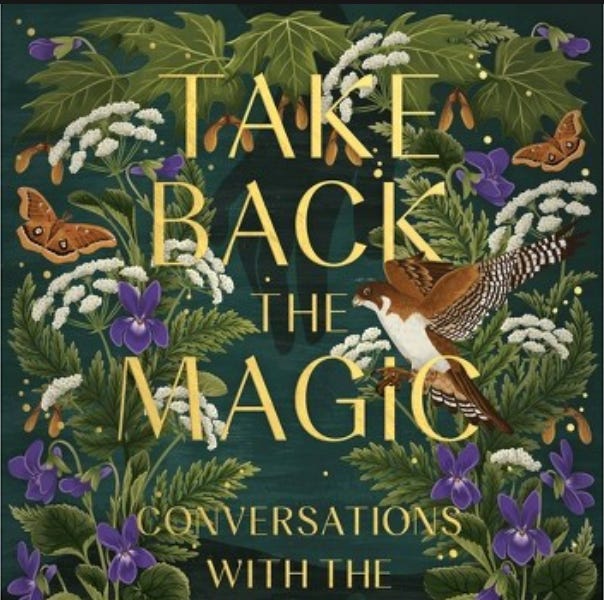 Take Back the Magic - by HeatherAsh Amara - Out of the Fire