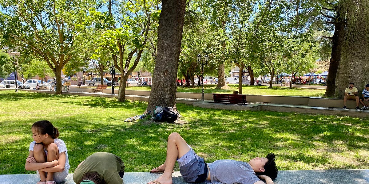 If they catch you, you get a big fine - by Tom Dyson