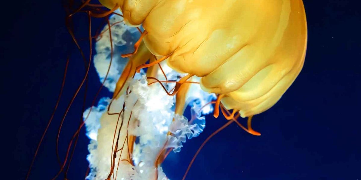 💊 Novartis expands gene therapy pipeline with Avrobio buy; Thermo ...