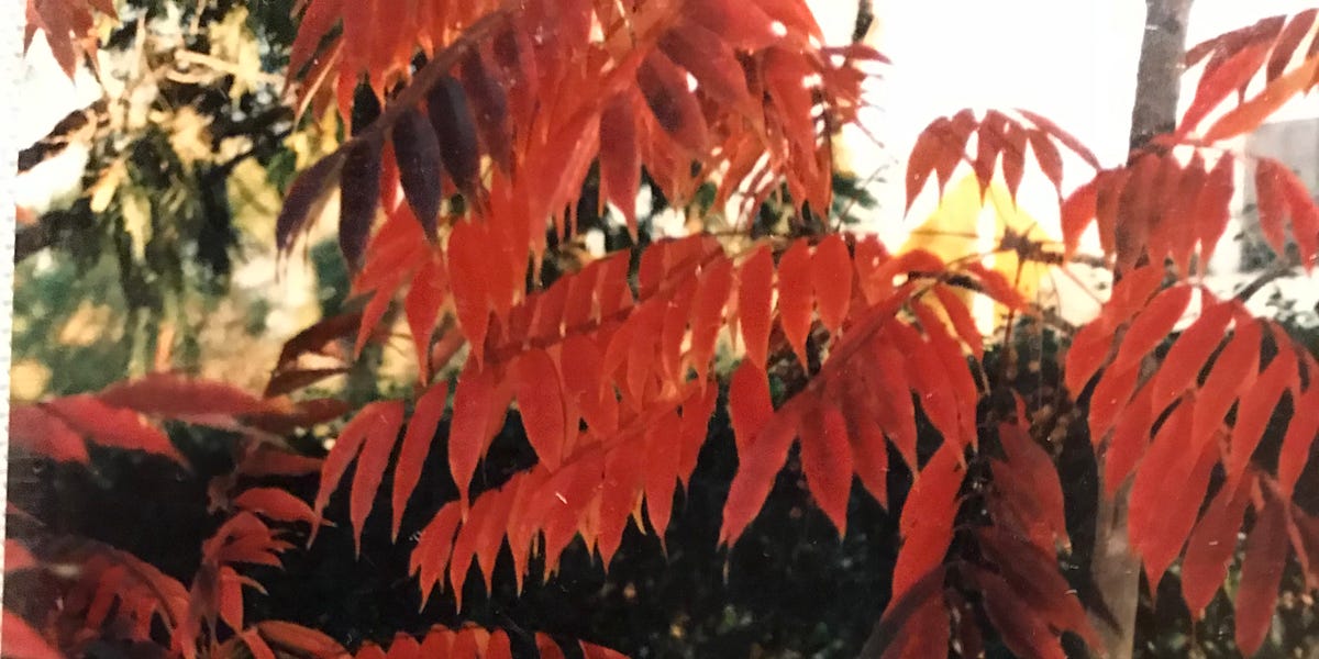 Hacer hogar - by Juana.txt - Todas Nuestras Palabras