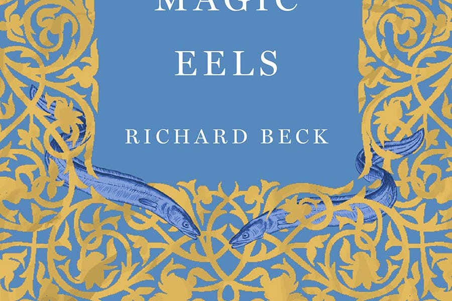 The New Edition of Hunting Magic Eels