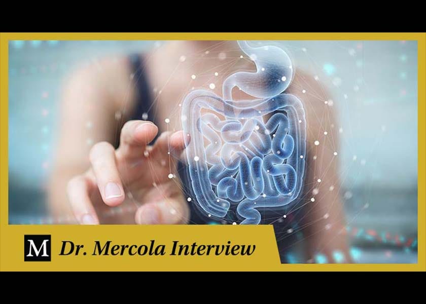 Rodney Dietert - How Your Microbiome Influences Your Immune System