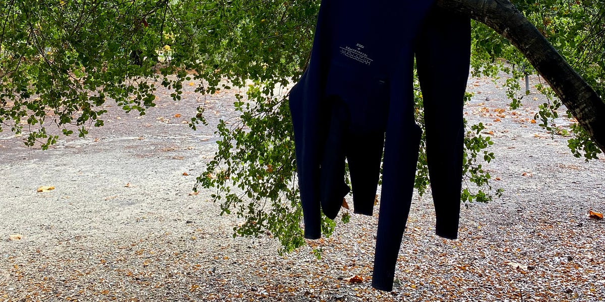 Arrival in Orange County, California - by Rob Strand