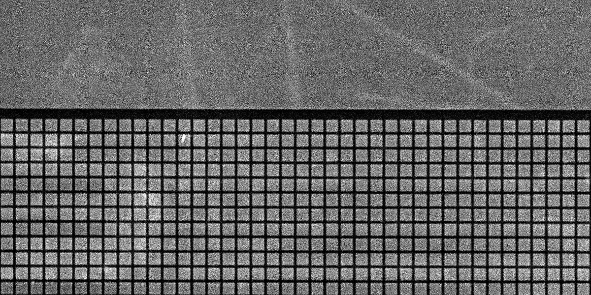 More iSeq IC Images - by Nava Whiteford - ASeq Newsletter