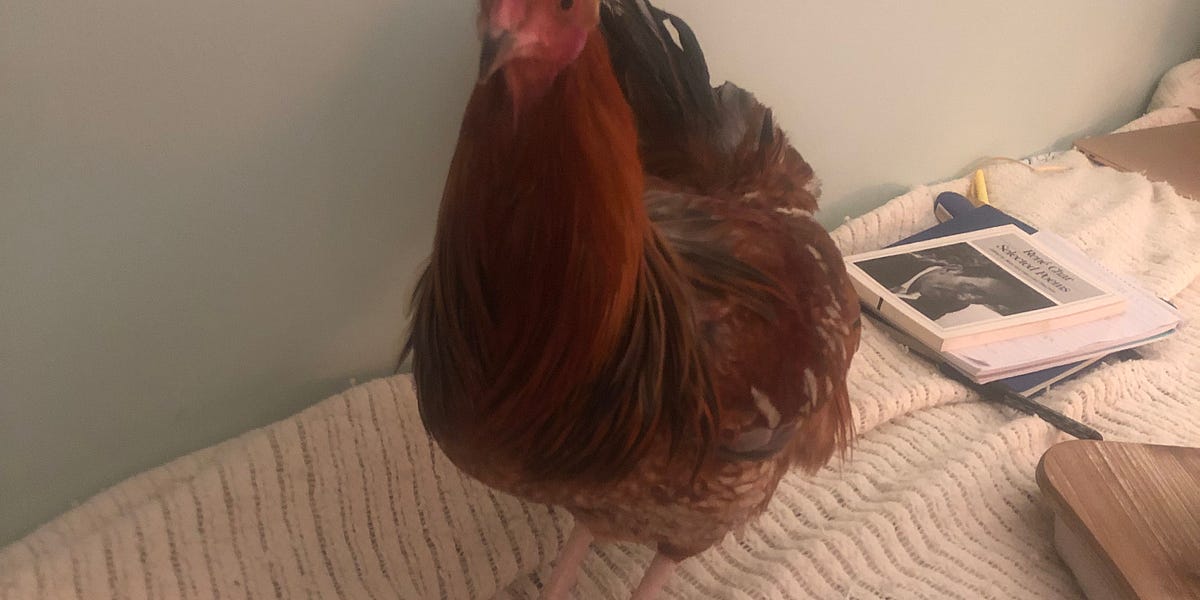 What Is CIRS? A Partial Diagnosis After a Lifetime Of Struggle, A Possible Breakthrough, And A ...