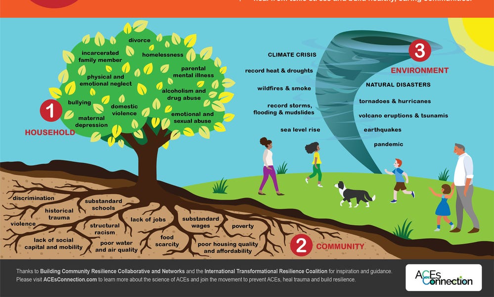 The Australian Child Maltreatment Study (ACMS) report and Childhood ...