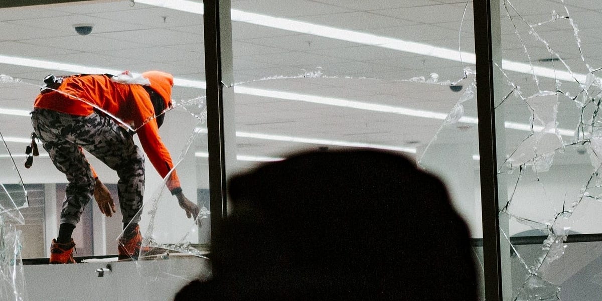 The New Untouchables - Christopher F. Rufo