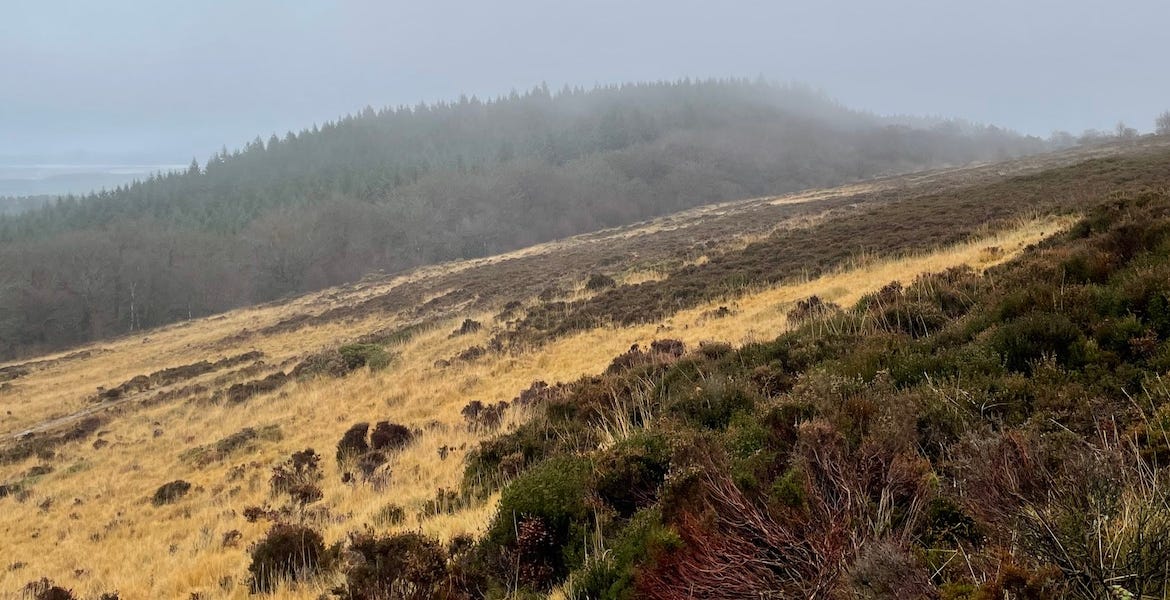 Folk Radio Insider - January 2023 - by Alex Gallacher