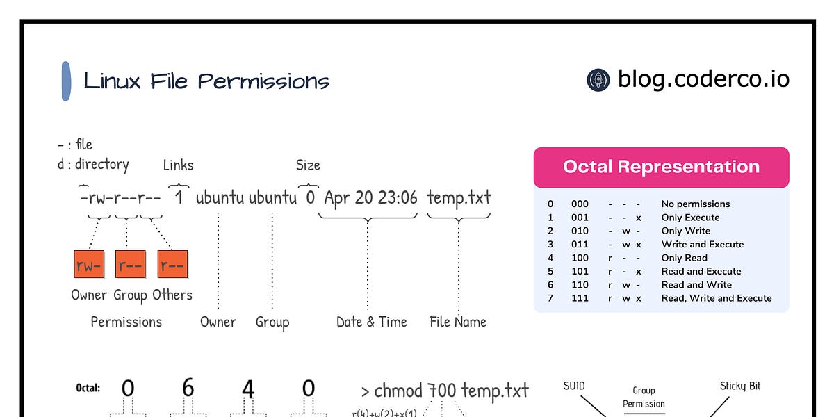 Linux Series EP1: Understanding and Mastering File Permissions