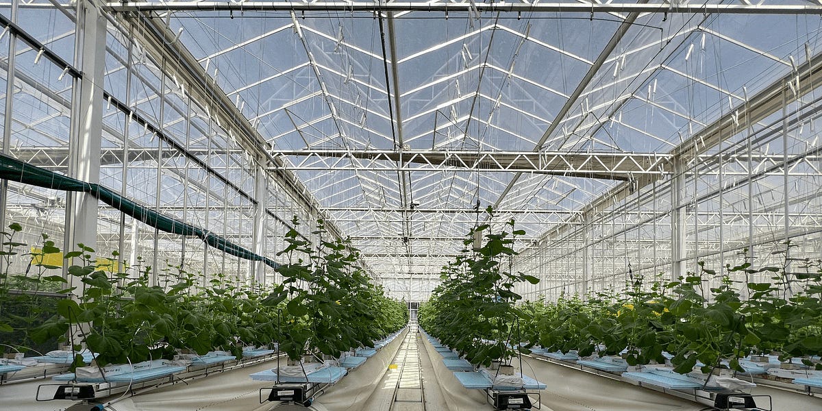 What exactly is Topian? - NEMNNA