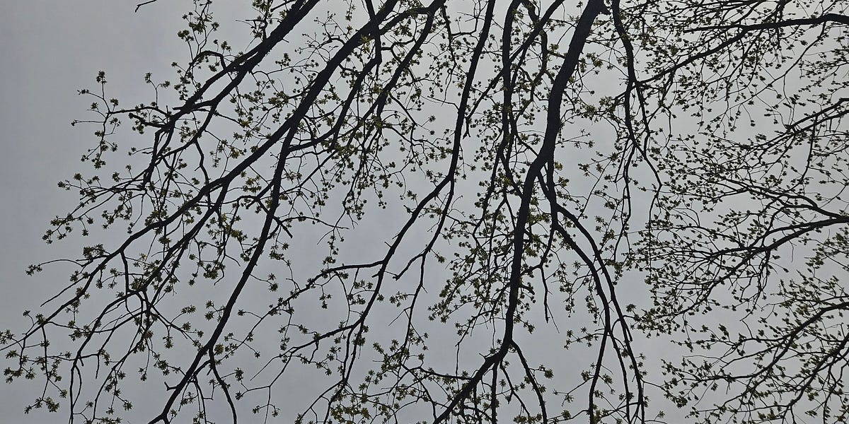 A Blurb About Delusions - by Mika J - Mika’s Substack