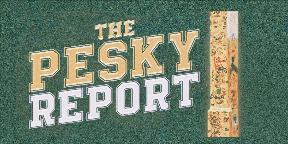 The Pesky Report Episode 256: Ian Cundall of SoxProspects.com