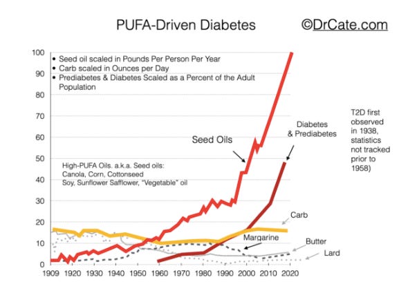 What's up with seed oils? - by Gregory Katz, MD