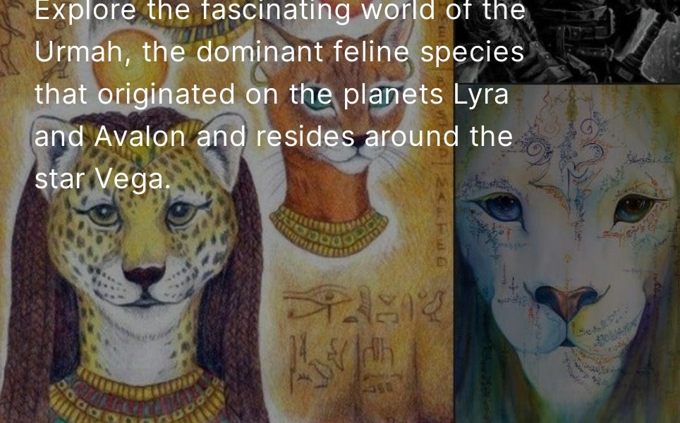 URMAH -The Feline Alien Race - by Vio S.