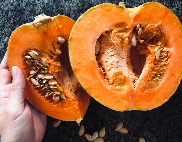 Abóbora: um ser tão sujeito quanto eu e você