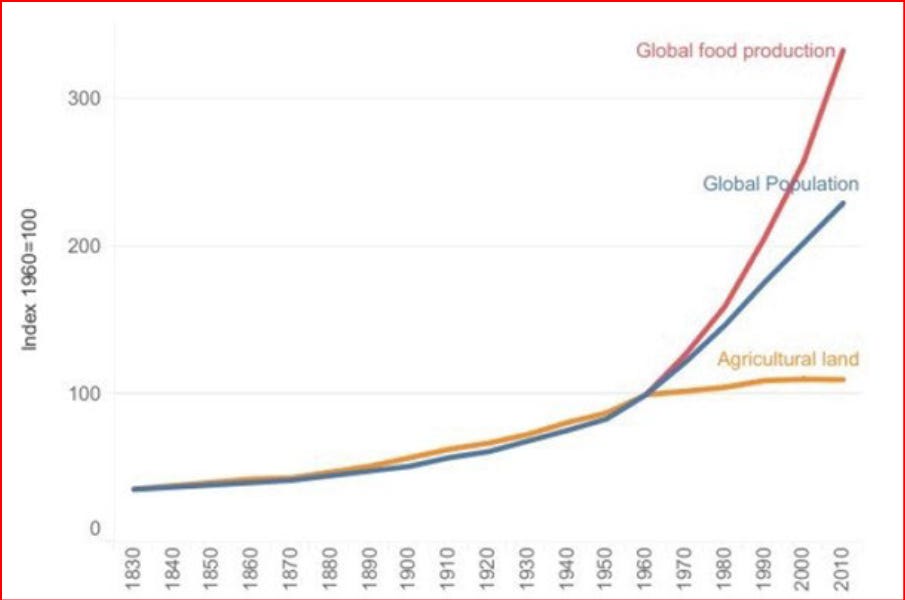 As Population Grow Fast, Food Production Grows Faster.