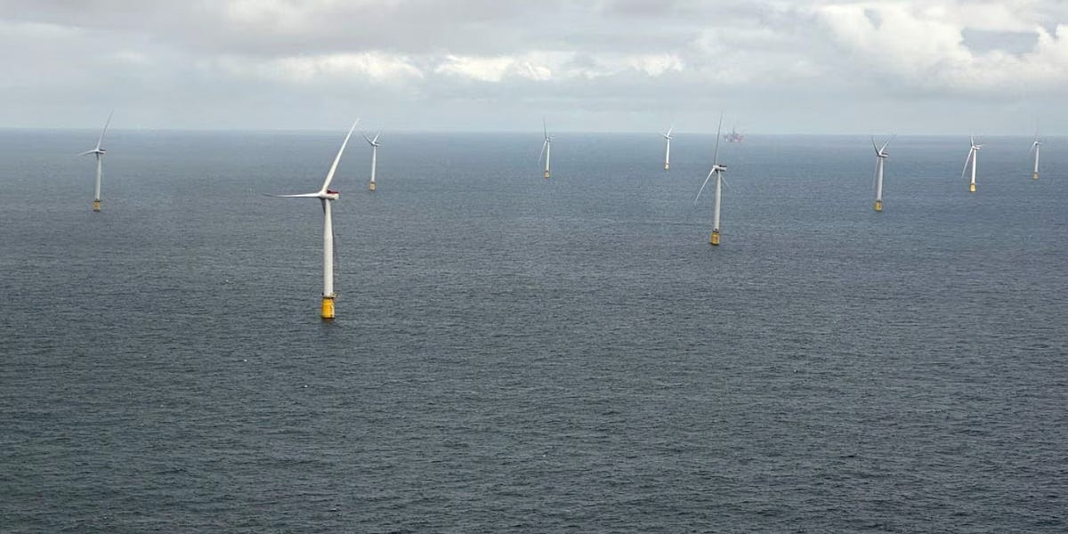 6th Edition - by Delaney Demark - Seaking Blue