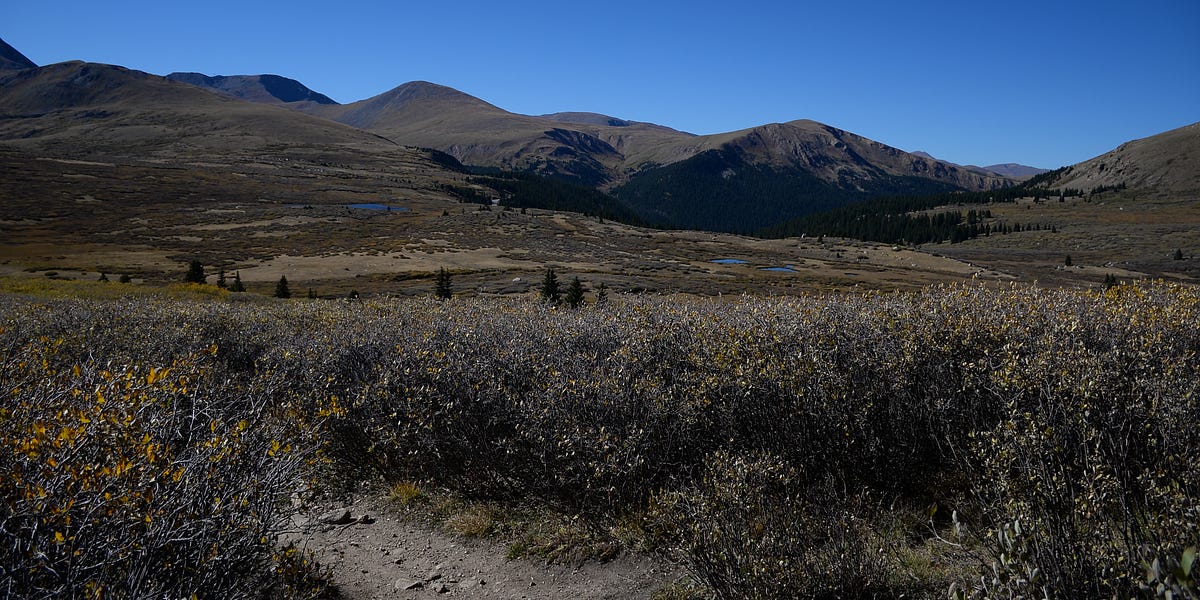 Soulful Saunter: Embracing the Art of Slow Walking and Nurturing Your ...