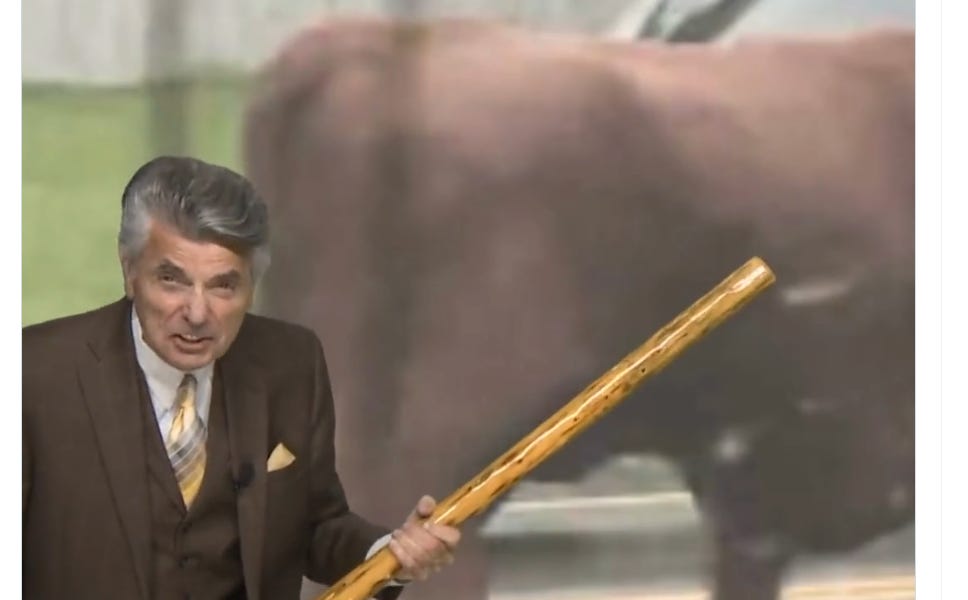 Summer Road Trips for Snakes, Bulls, and Wieners