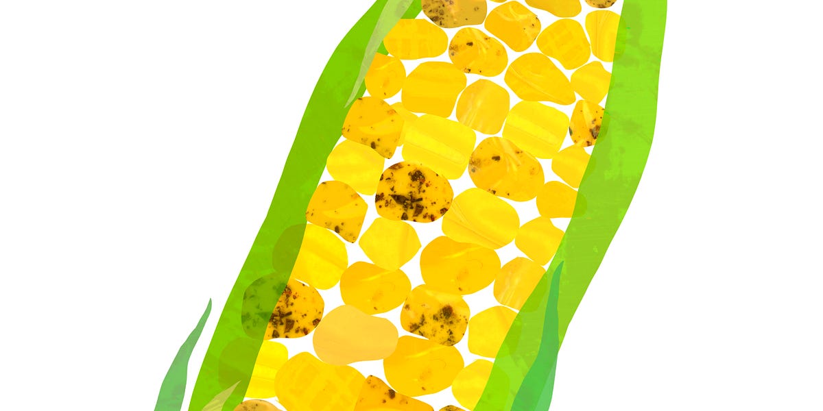 Sweetcorn! - by Nichola Daunton - Heavily Soiled