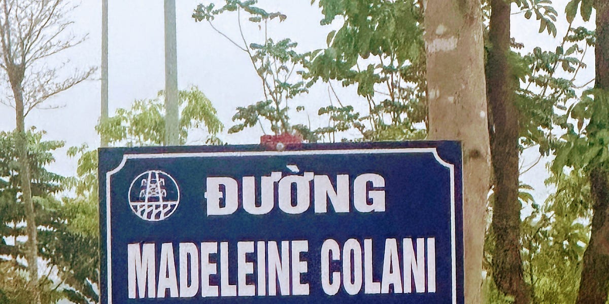 Madeleine Colani Street - by Noel Hidalgo Tan