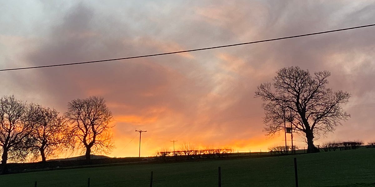 Light falls - by Caroline Beck - DIRT