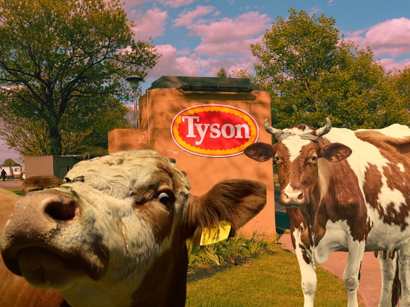 How The Farming Monopolies Turn Farmers into Modern Day Serfs Pt. 2