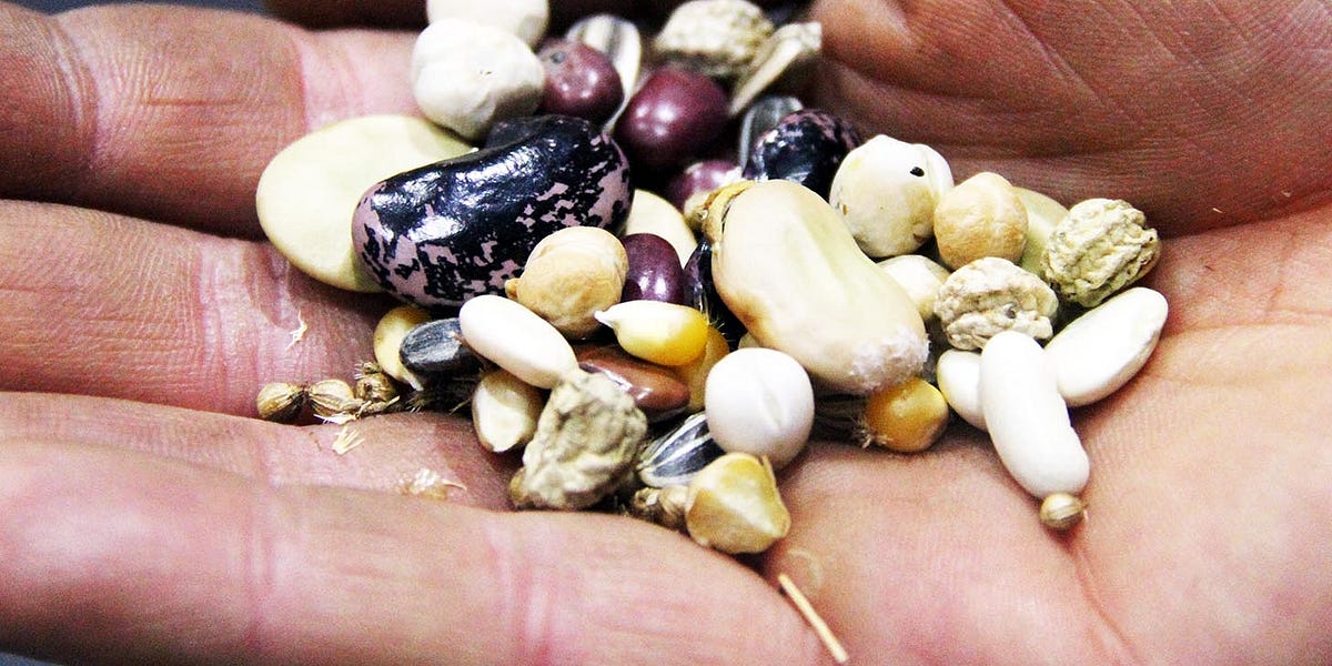 Selecting Seeds to Grow - by Duncan Cocking